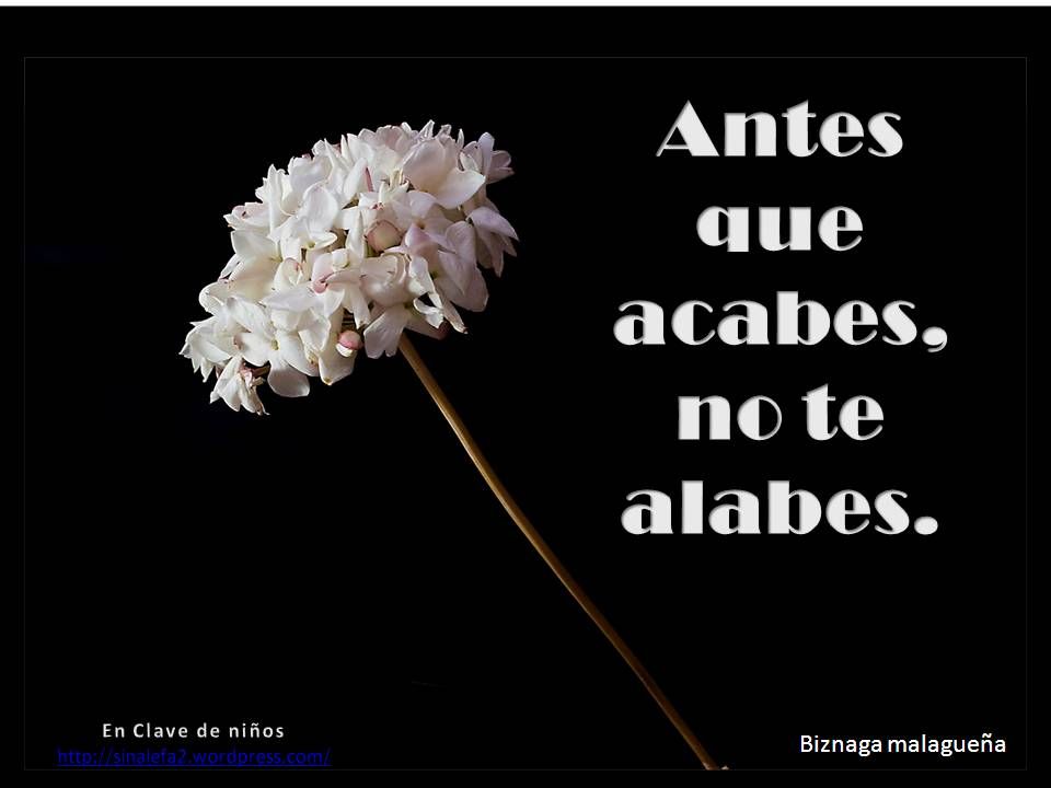 Antes que acabes, no te alabes. - Conocer el Castellano