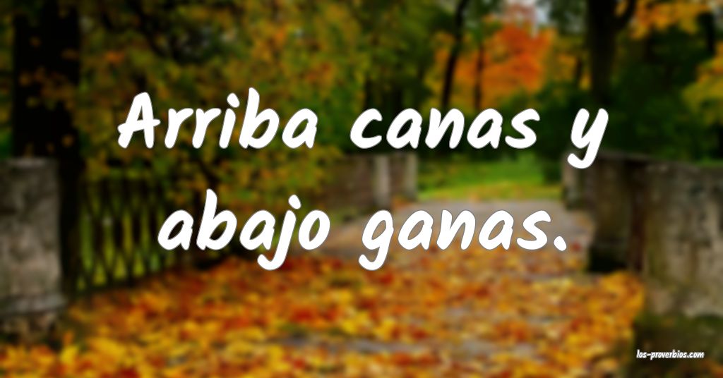 Arriba, canas; y abajo, ganas. - Conocer el Castellano