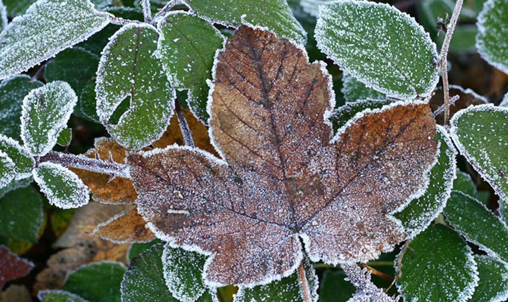 Diciembre, mes de hielos y mes de nieves. - Conocer el Castellano