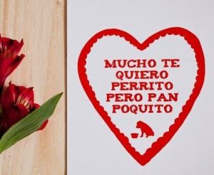 Mucho te quiero, perrito; pero pan, poquito. - Conocer el Castellano