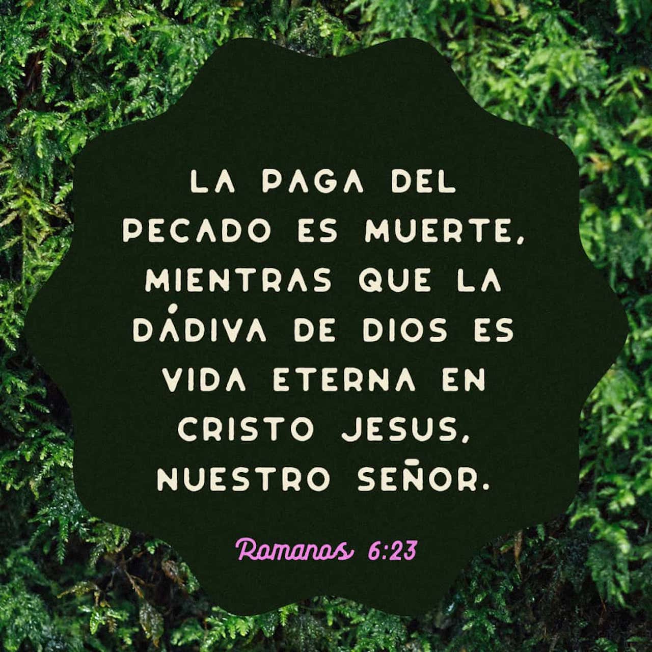 Por donde se peca se paga. - Conocer el Castellano