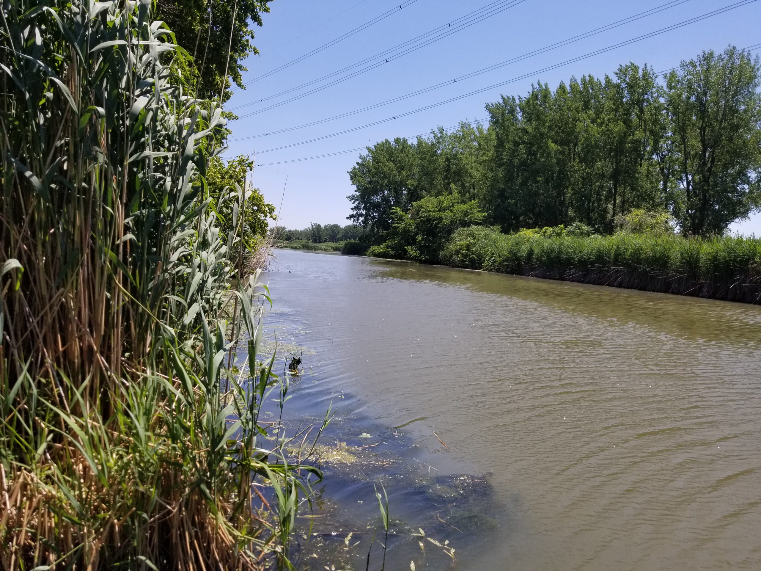 Jacques Rivière - Conocer el Castellano