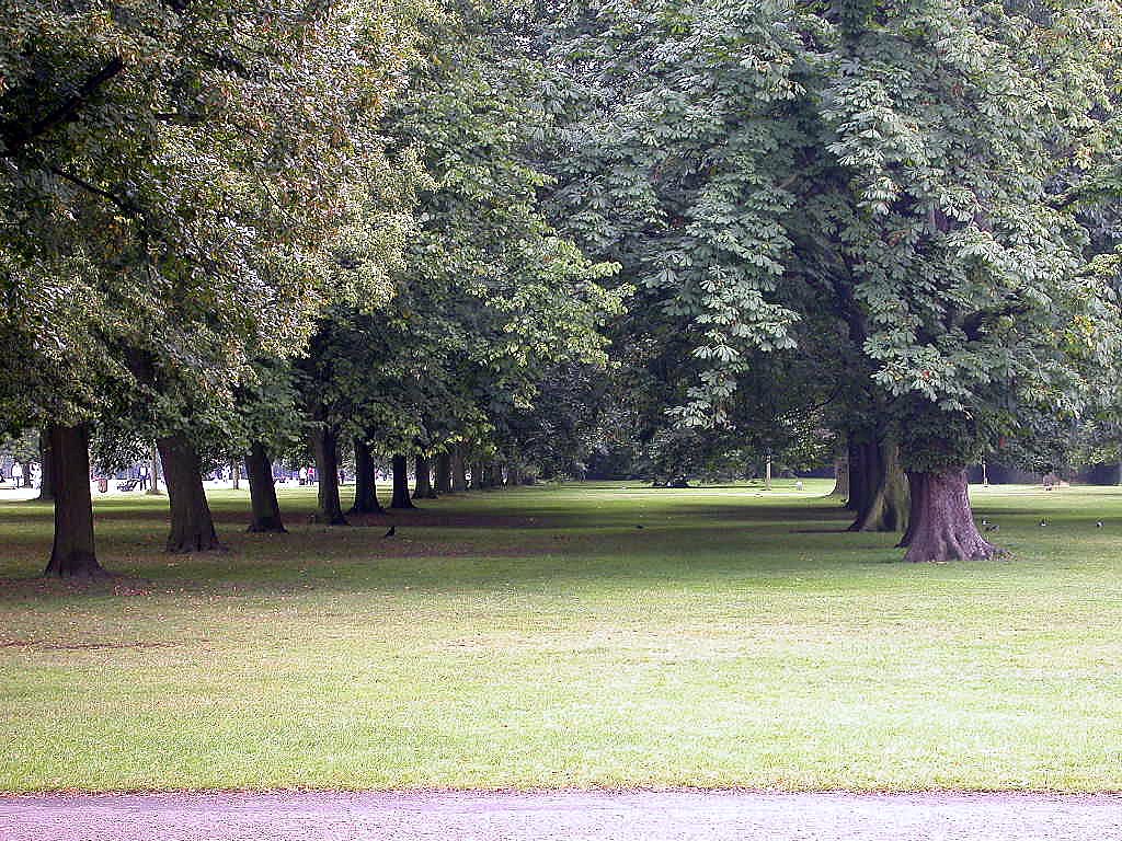 Ser un tiquismiquis (tiquis miquis) - Conocer el Castellano